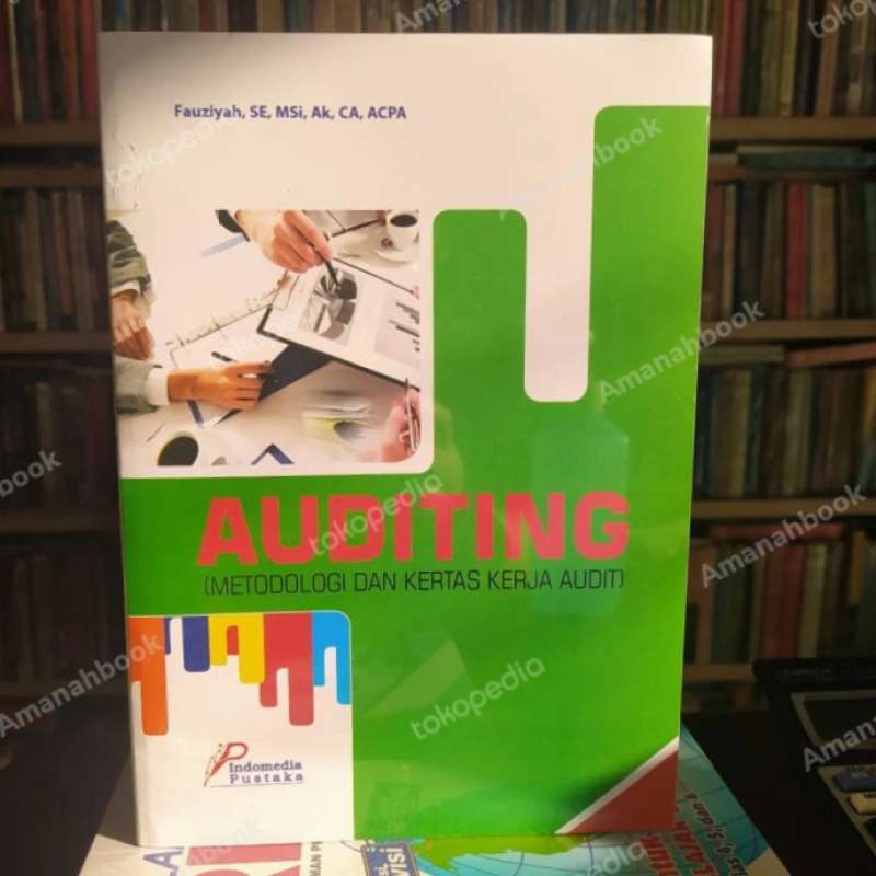 Jual Buku Auditing Metodologi Dan Kertas Kerja Audit - Fauziyah Di ...