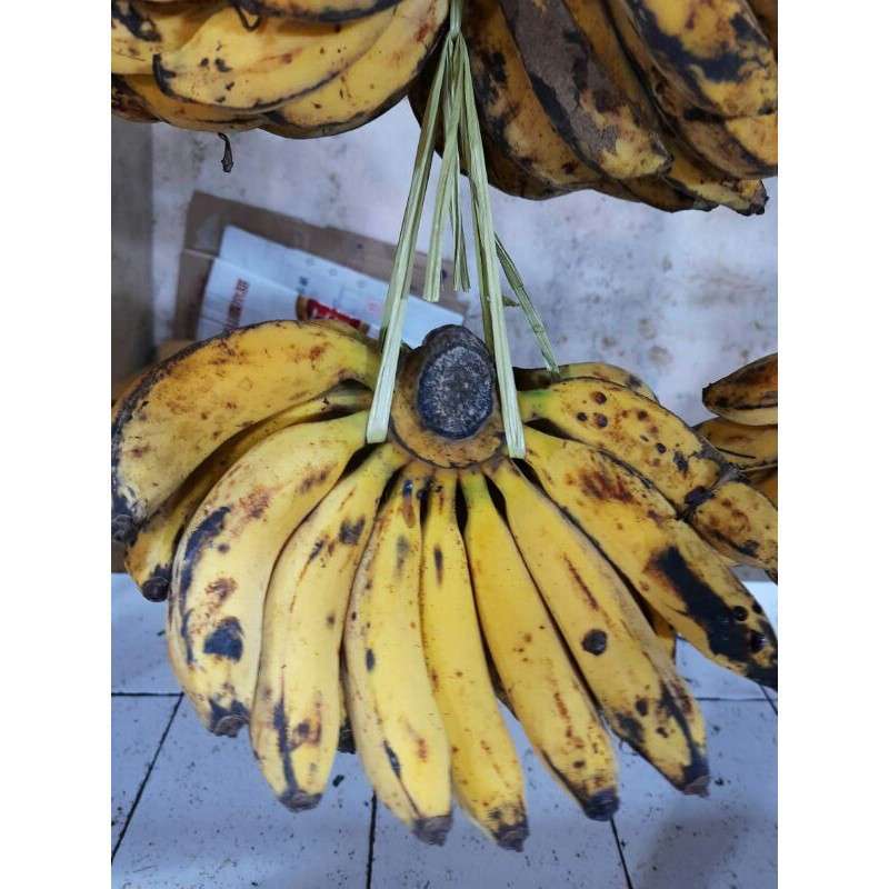 Pisang Raja 1 Sisir Gratis Ongkir 🔥 Harga Murah Juni 2026