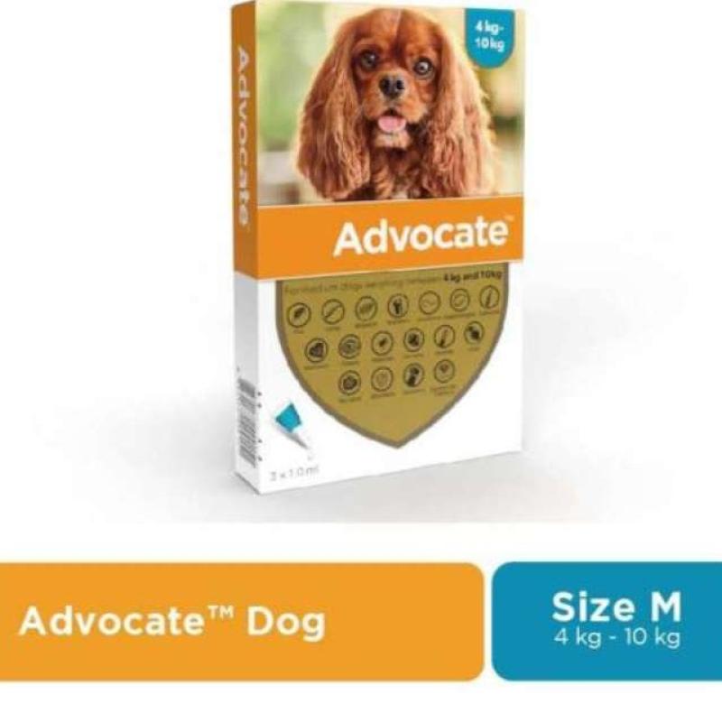 Promo Advocate Dog Medium 4 - 10 Kg - Obat Kutu Anjing 1 Box Diskon 33% ...