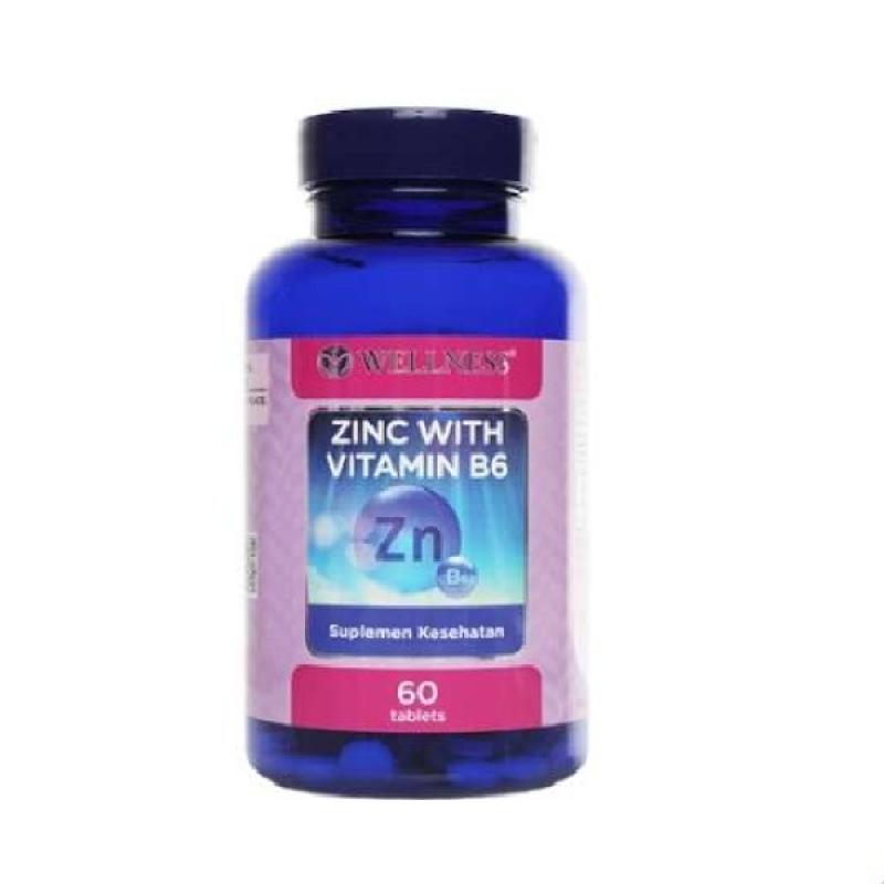 Promo Wellness Zinc With Vitamin B6 60 Tablet Diskon 23% di Seller ...
