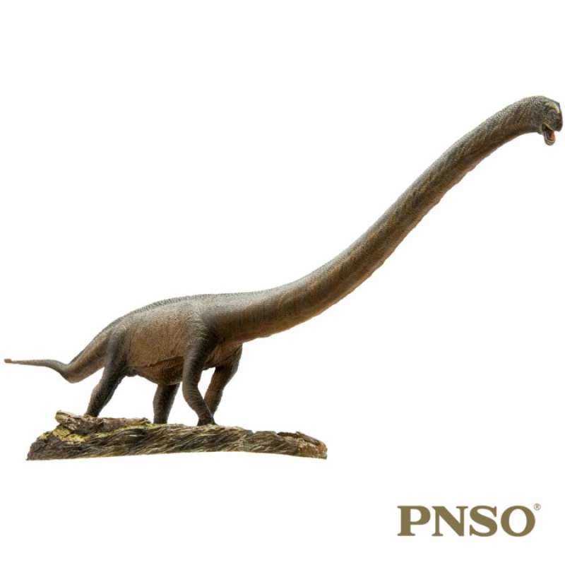 Jual Pnso 301003 - Erma The Mamenchisaurus 1:35 Scale - Dinosaur Model ...