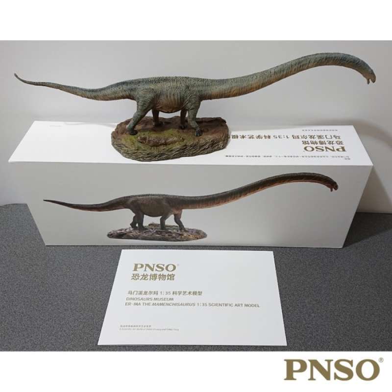 Jual Pnso 301003 - Erma The Mamenchisaurus 1:35 Scale - Dinosaur Model ...