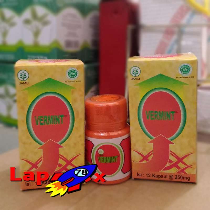 Promo VERMINT Isi 12 Kapsul Obat Tipes Typus Tipus Diskon 17% di Seller ...