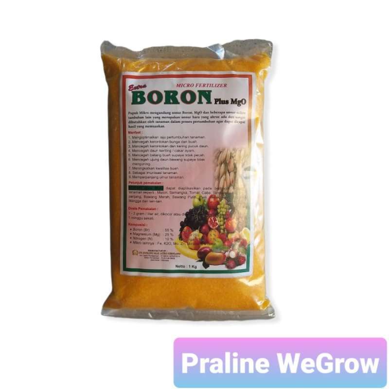 Jual Pupuk Tanaman Boron Plus Mg0 1 Kg Micro Fertilizer Di Seller Ryleee Shop - Wanasari, Kab ...
