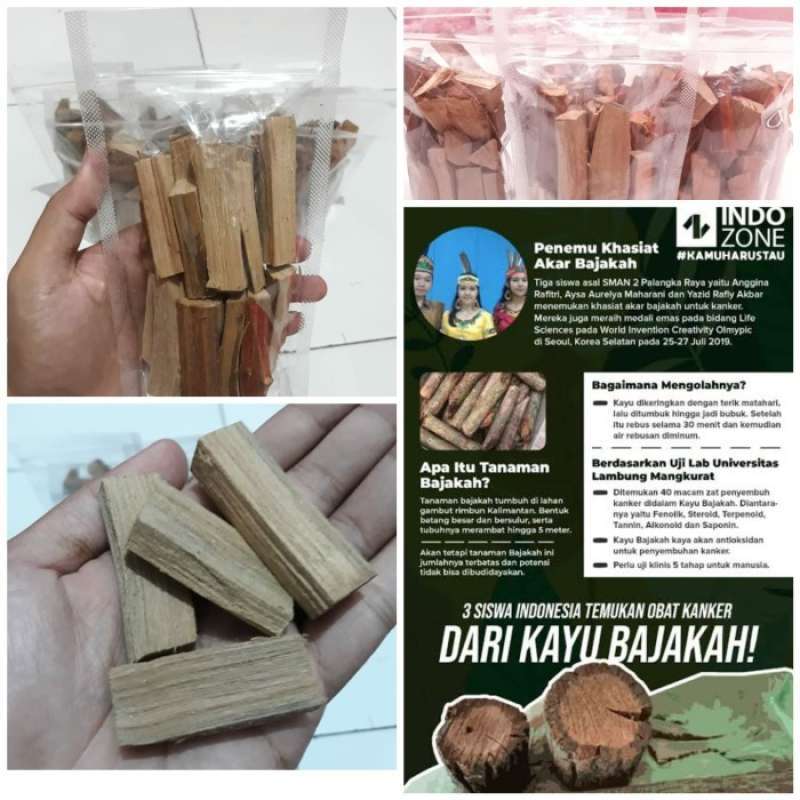 Promo Kayu Bajakah 1kg / Akar Kayu Bajakah Asli Dari Kalimantan Diskon ...