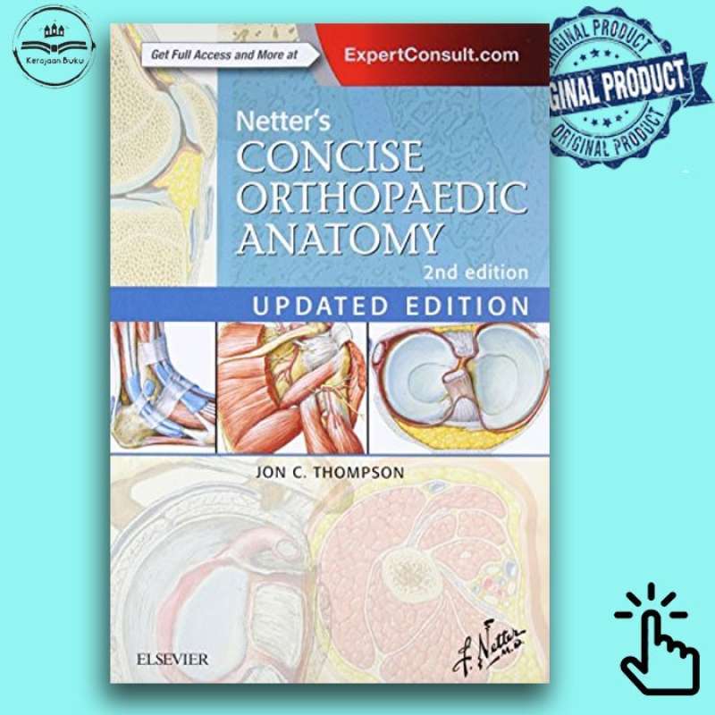 Promo Netter'S Concise Orthopaedic Anatomy, Updated Edition Diskon 33% ...