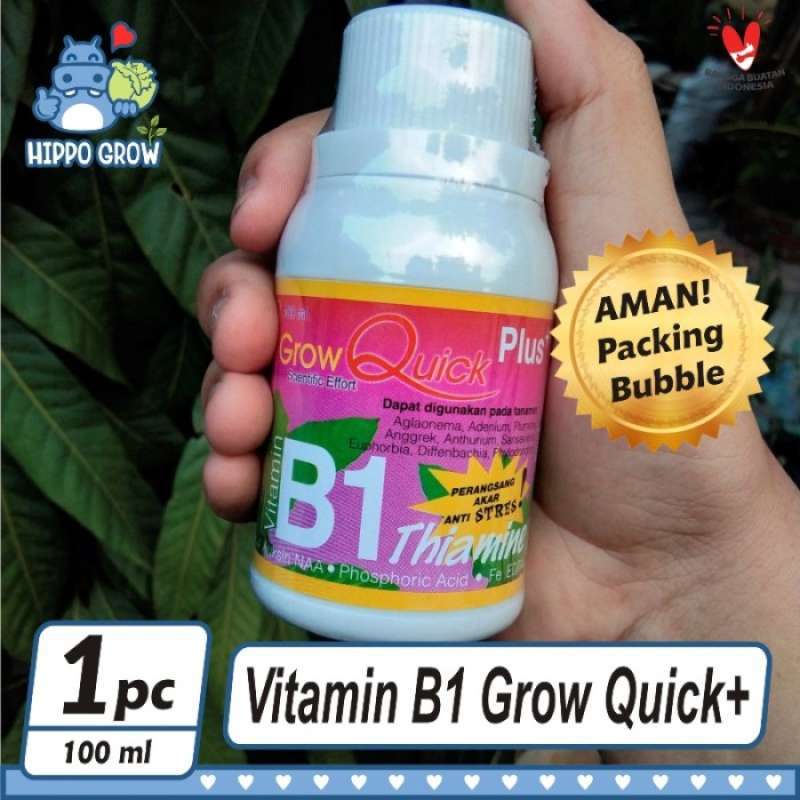 Promo vitamin b1 grow quick plus+ b1 100 ml pupuk hormon akar Diskon 20% di Seller Duma Shop ...