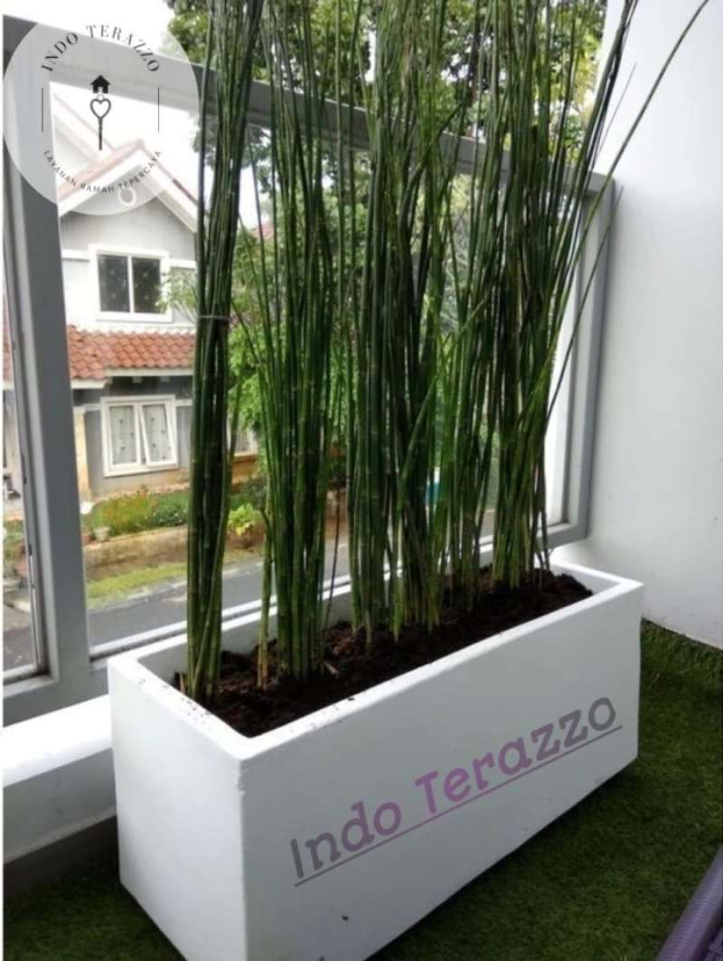 Jual Indo Terazzo Pot Panjang Semen Putih Pot Tanaman Pot Bunga Di ...