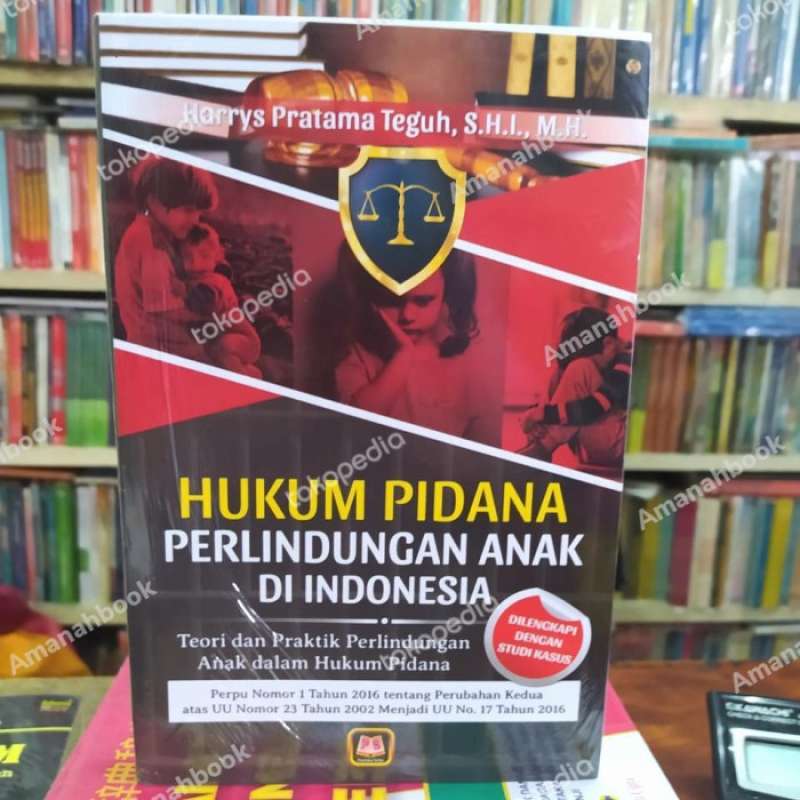 Promo Hukum Pidana Perlindungan Anak di Indonesia Lengkap Dengan Studi Kasus Diskon 23% di ...