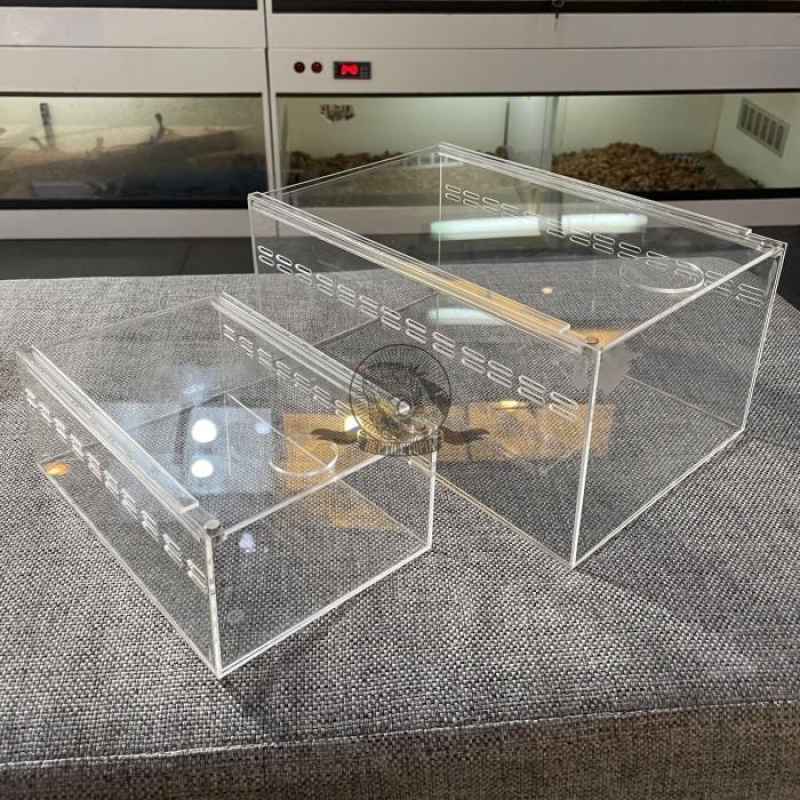 Jual Acrylic Cage Small By Reptiletopia - Kandang Reptil Terrarium ...
