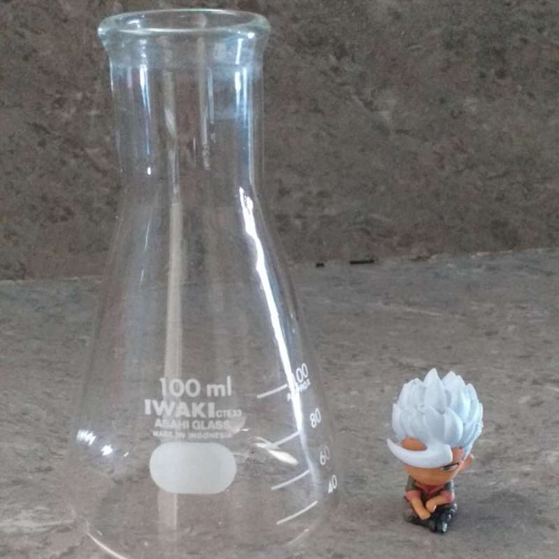 Promo Erlenmeyer Flask Labu Erlenmeyer Iwaki 100 Ml Diskon 23% Di ...