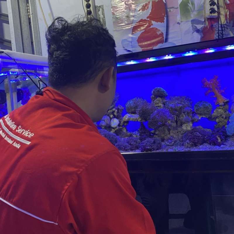 Promo Instalasi Dan Perawatan Aquarium Laut Dan Tawar Diskon 23% Di Seller Laraji Store ...