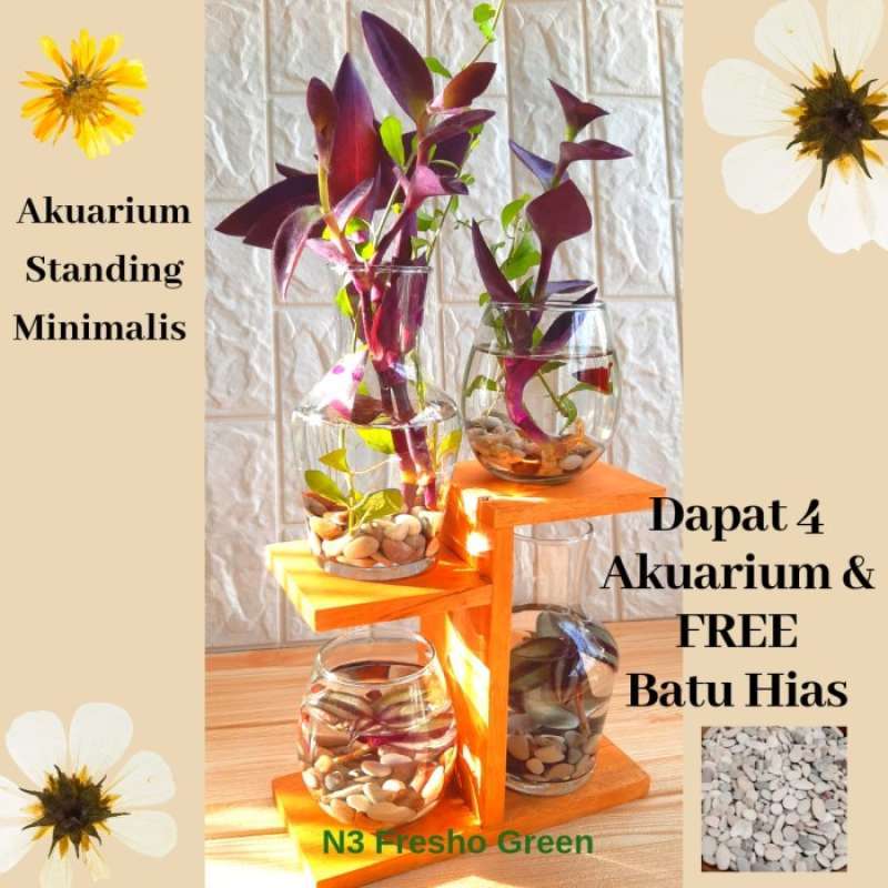 Promo Aquarium Ikan Cupang Unik Minimalis Aquarium Kaca Aquarium Estetik Diskon 23% Di Seller ...