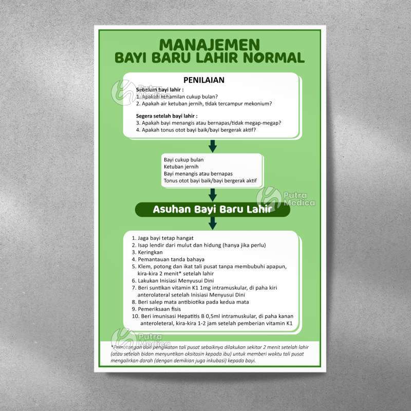 Jual Poster Kesehatan Manajemen BBL Bayi Baru Lahir Normal A3+ / Gambar ...