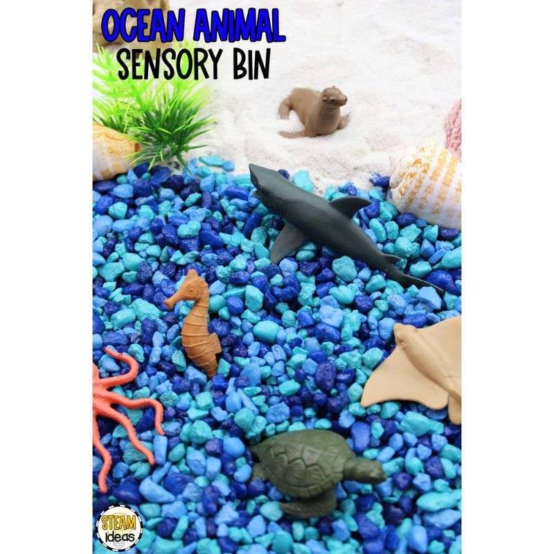 Jual Zoetoys Figurine Animal Set Complete Wild Farm Ocean Bug Reptile Spider Dino Birds Sea ...