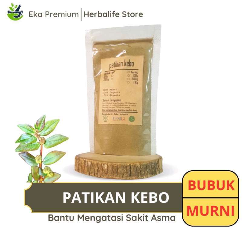 Promo PATIKAN KEBO BUBUK Kering Ramuan Rempah Herbal Asli Jamu Minuman ...