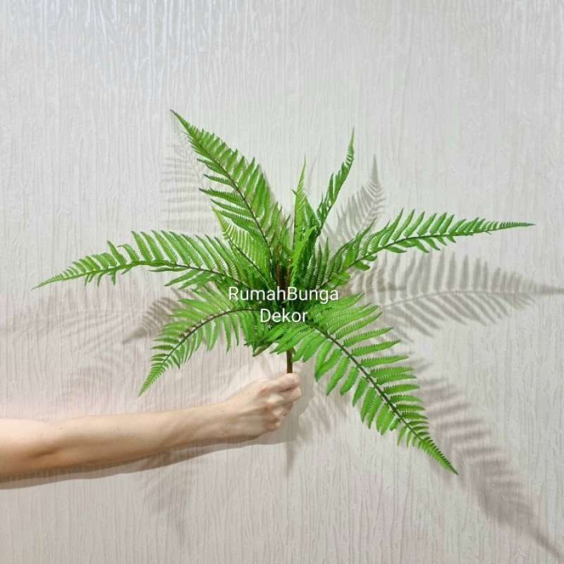 Jual Daun Pakis Artificial / Pakis Cinnamon Artificial Di Seller Bento ...