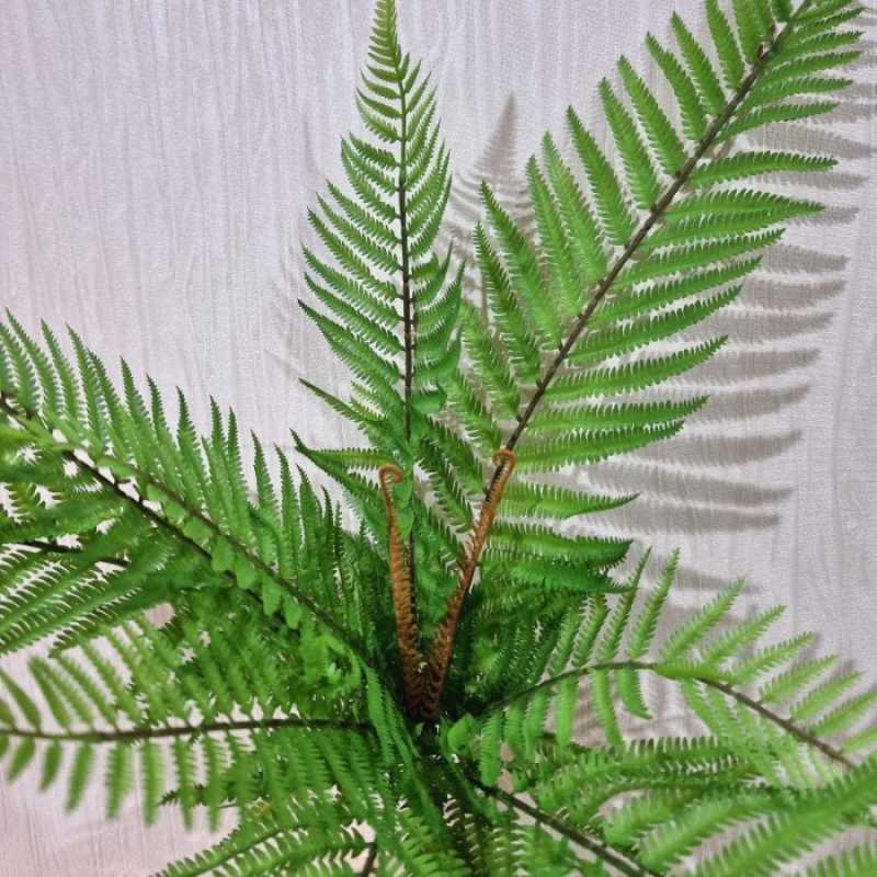 Jual Daun Pakis Artificial / Pakis Cinnamon Artificial Di Seller Bento ...