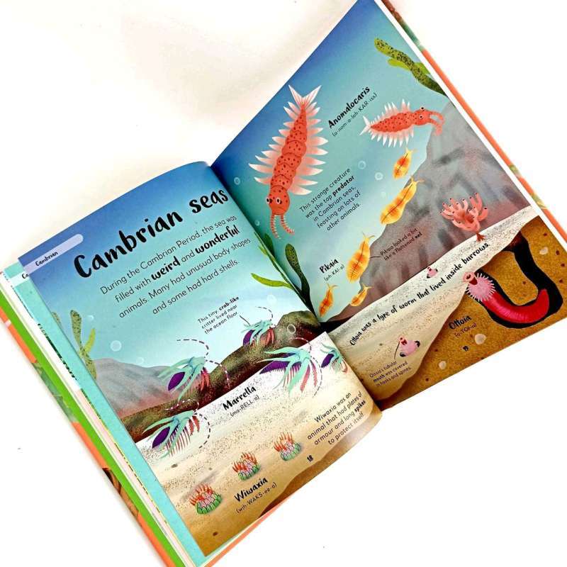 Jual Dk The Bedtime Book Of Dinosaurs And Other Prehistoric Life Di ...