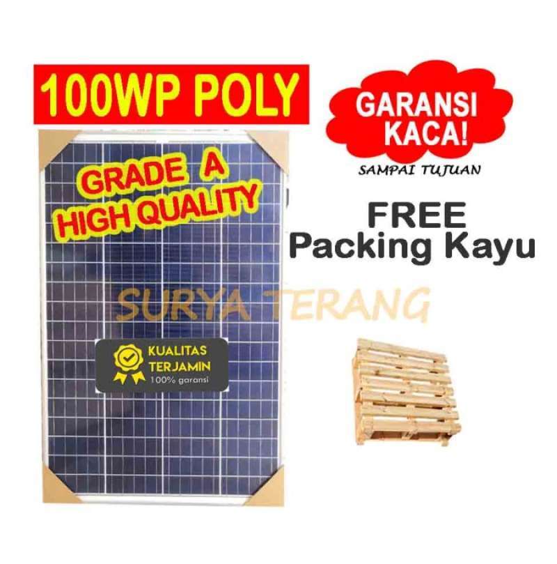Jual Solar Panel Surya 100wp Poly Free Packing Kayu - Selera_kita Store ...
