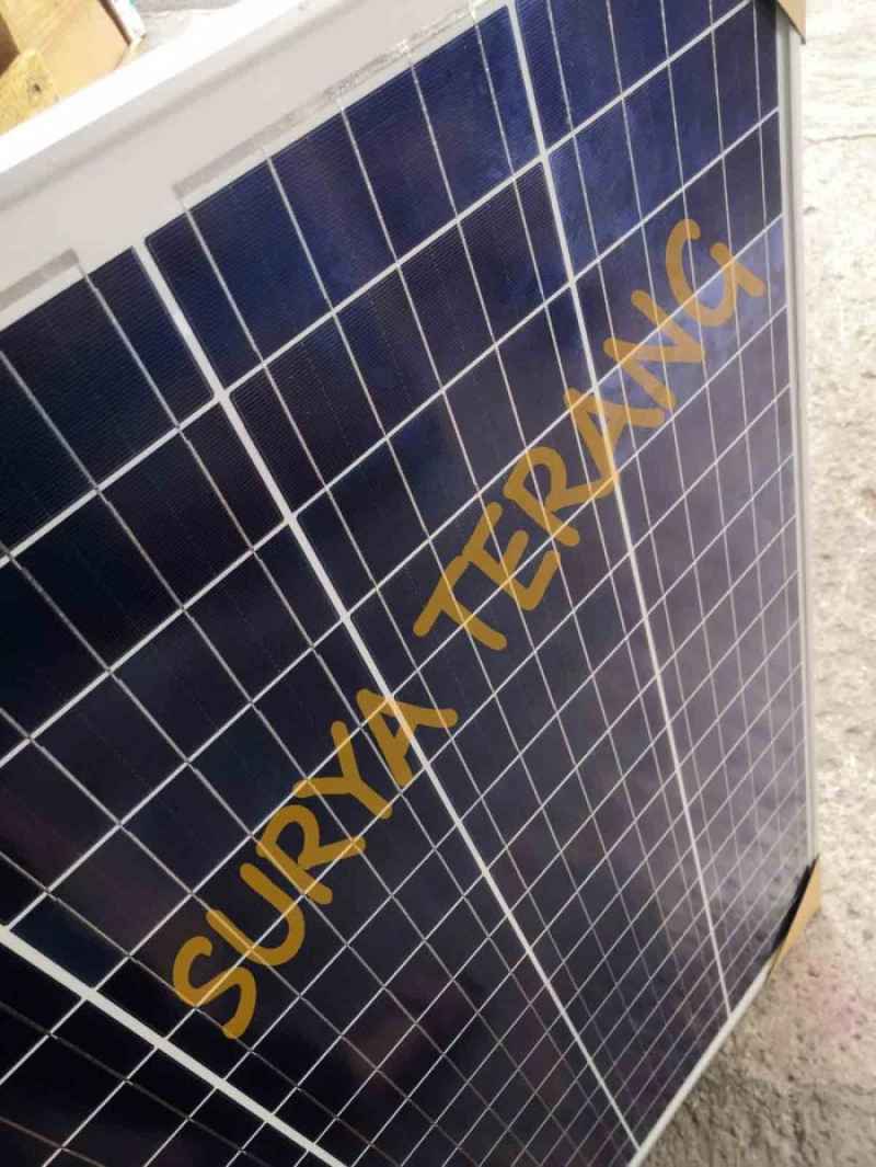 Jual Solar Panel Surya 100wp Poly Free Packing Kayu - Selera_kita Store ...