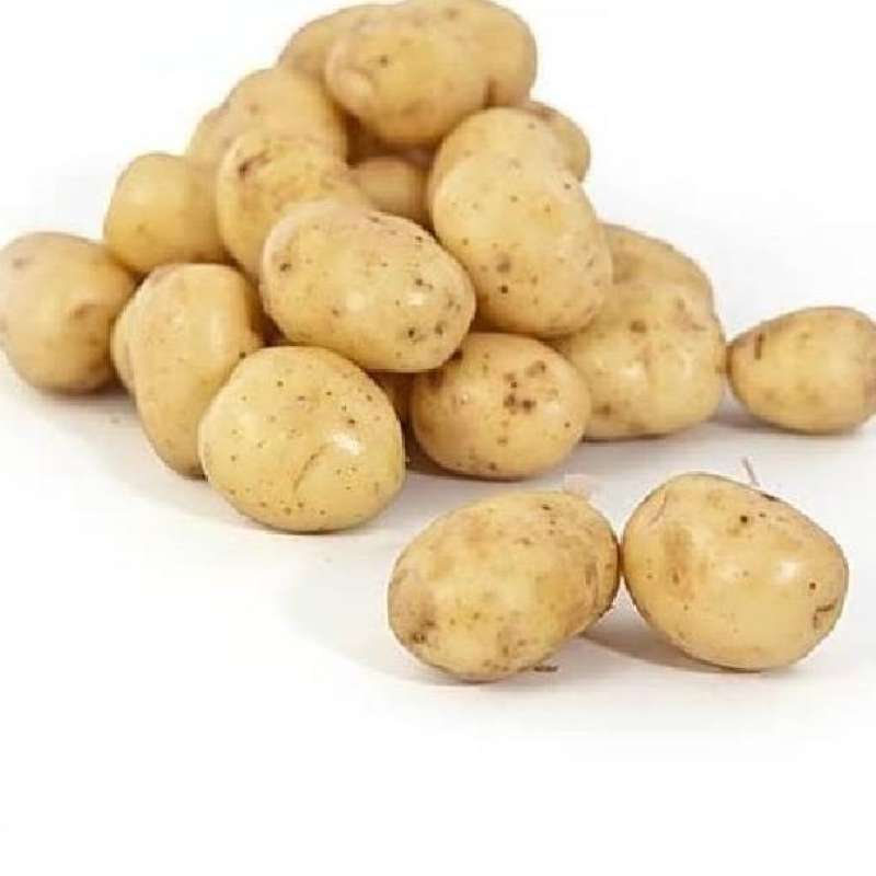 Jual Kentang Baby / Kentang Rendang 1kg di Seller Waroeng Baru - Duri ...