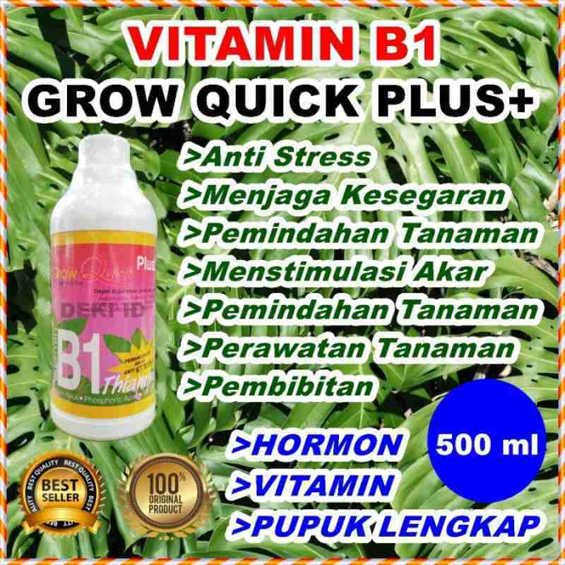 Promo Pupuk Vitamin B1 Grow Quick 500 ml Plus Anti Stres Penyubur Tanaman Diskon 33% di Seller ...