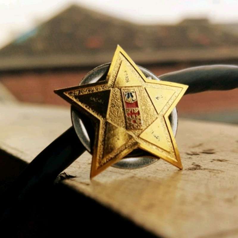 Jual Pin Bros Atribut PTSP Jakarta Pin Pelayanan Terpadu Satu Pintu DKI ...