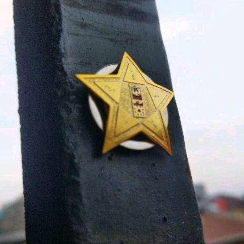 Jual Pin Bros Atribut PTSP Jakarta Pin Pelayanan Terpadu Satu Pintu DKI ...