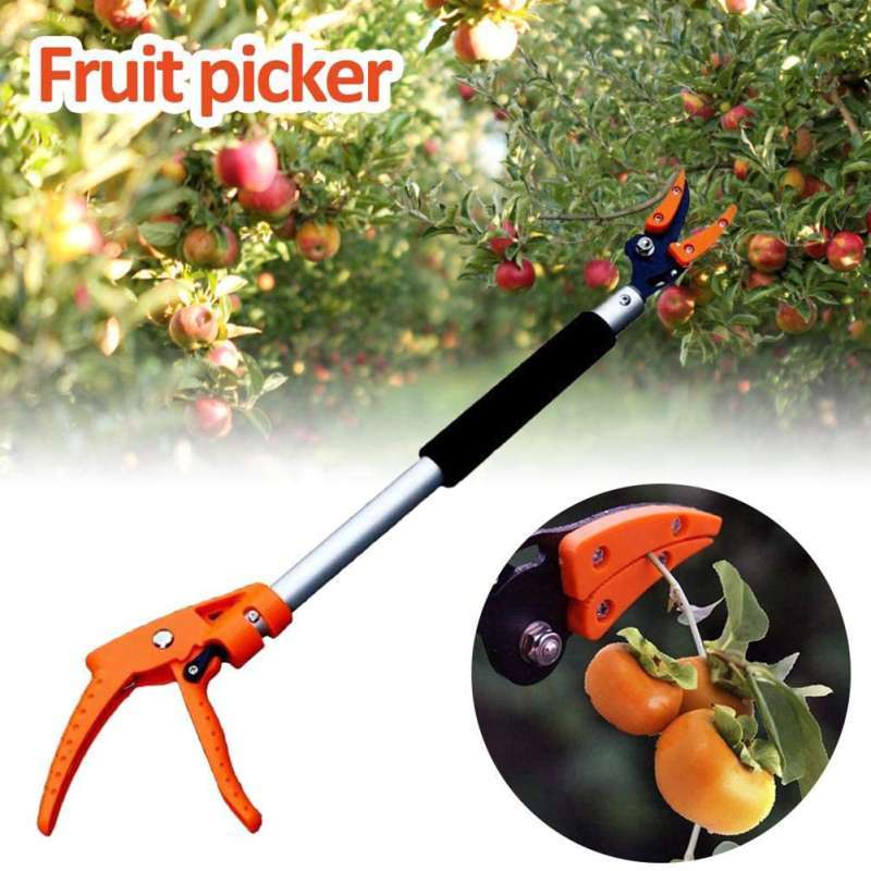 Promo 4M Tree Pruner / Adjustable Gunting Pemetik Buah Tinggi / Pemotong Ranting Yang Tinggi ...