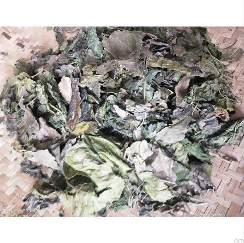 Jual Daun Murbey Kering / Daun Mulberry Kering Alami / Daun Arben ...