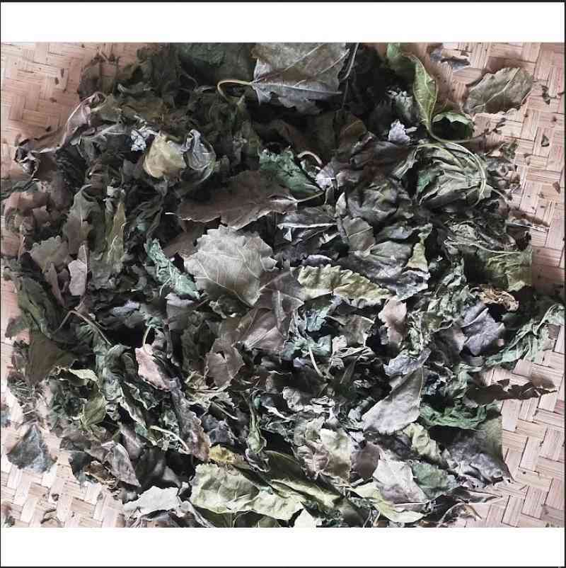 Jual Daun Murbey Kering / Daun Mulberry Kering Alami / Daun Arben ...
