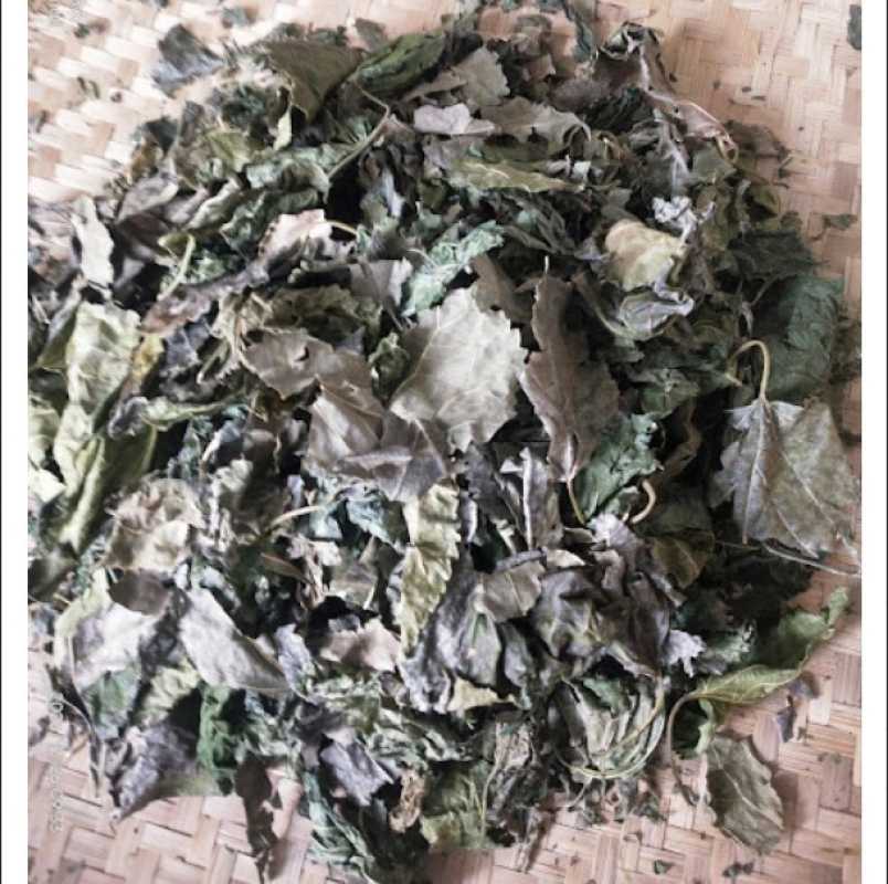Jual Daun Murbey Kering / Daun Mulberry Kering Alami / Daun Arben ...