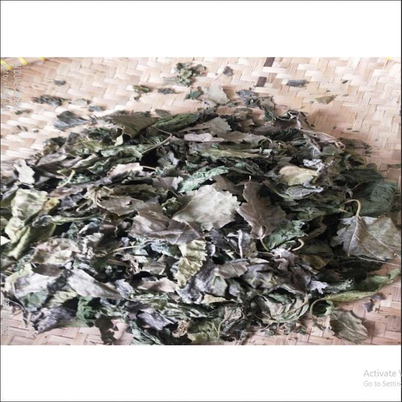 Jual Daun Murbey Kering / Daun Mulberry Kering Alami / Daun Arben ...