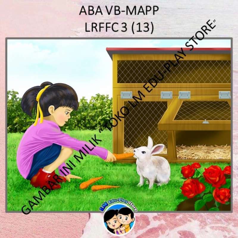 Promo Kartu Belajar Aba Vb-mapp Lrffc Level 3 (13) - Multicolor ...