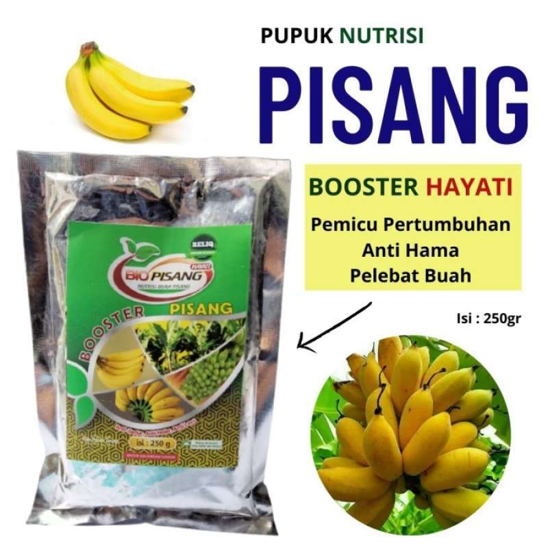Promo Pupuk Buah Pisang Raja, Pupuk Booster Pohon Pisang Agar Cepat Berbuah Diskon 9% Di Seller ...