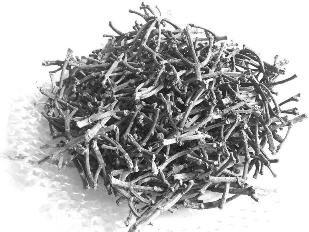 Jual 10 Liter - Minyak Gagang Cengkeh / Clove Stem Oil Di Seller ...