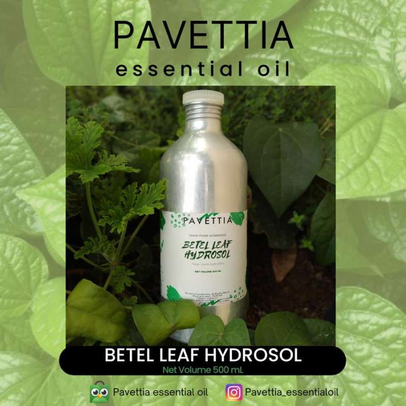 Jual Betel Leaf Hydrosol - Hidrosol Daun Sirih 500 Ml Di Seller Pavettia Essential Oil ...