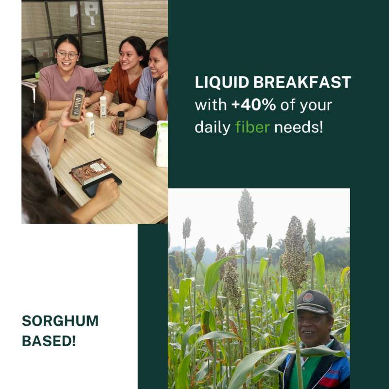 Jual Mealk Expert Package - Premium Sorghum Ready To Drink Meal ...