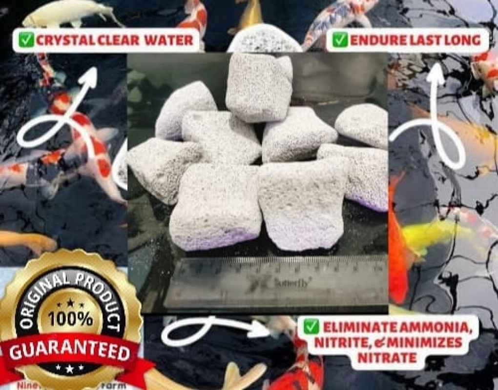 Promo Bio Purify 100 Gram - Media Filter Biologis Rumah Bakteri ...