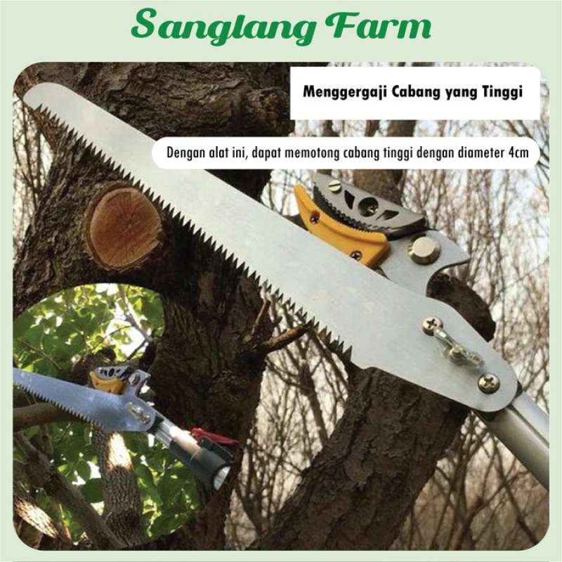 Promo Tree Pruner Galah Tongkat Pemotong Gergaji Gunting Dahan Ranting Tarik Baru - 3m Diskon 23 ...