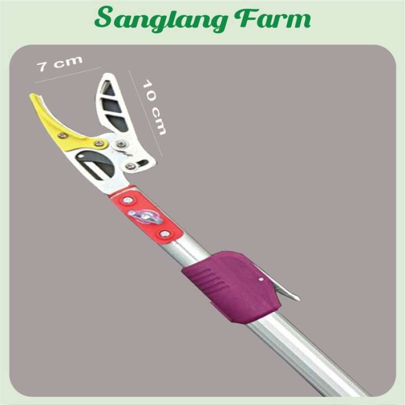 Promo Tree Pruner Galah Tongkat Pemotong Gergaji Gunting Dahan Ranting Tarik Baru - 3m Diskon 23 ...