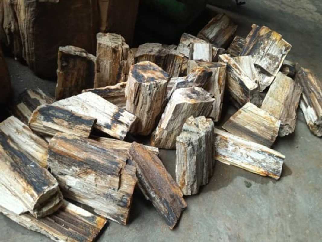 Jual Rough Batu Suiseki Fosil Kayu Untuk Bahan Mata Akik Hiasan ...