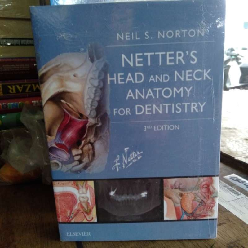 Jual Buku Netter's Head And Neck Anatomy For Dentistry Di Seller Rumix ...