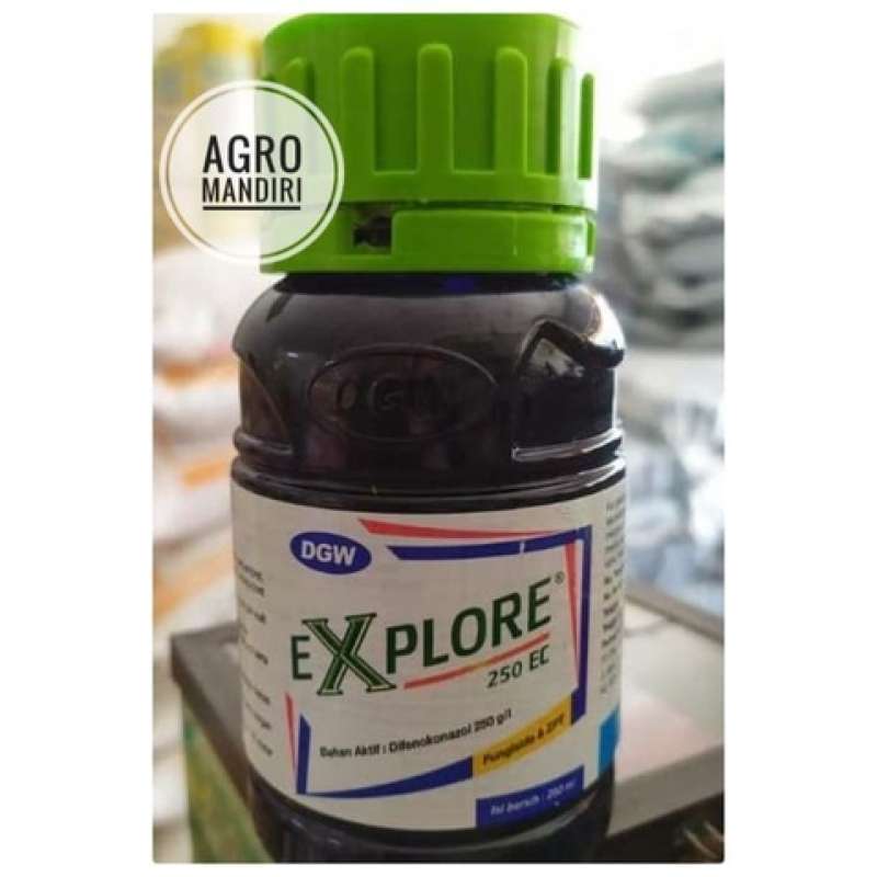 Jual Explore Terbaru Juni 2024 100% Original – Official Store Indonesia ...
