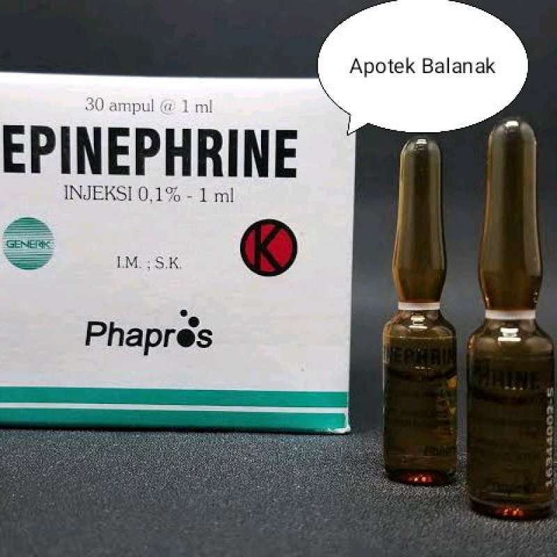 Epinephrine Injection Lengkap Harga Terbaru Juni 2024 | Blibli