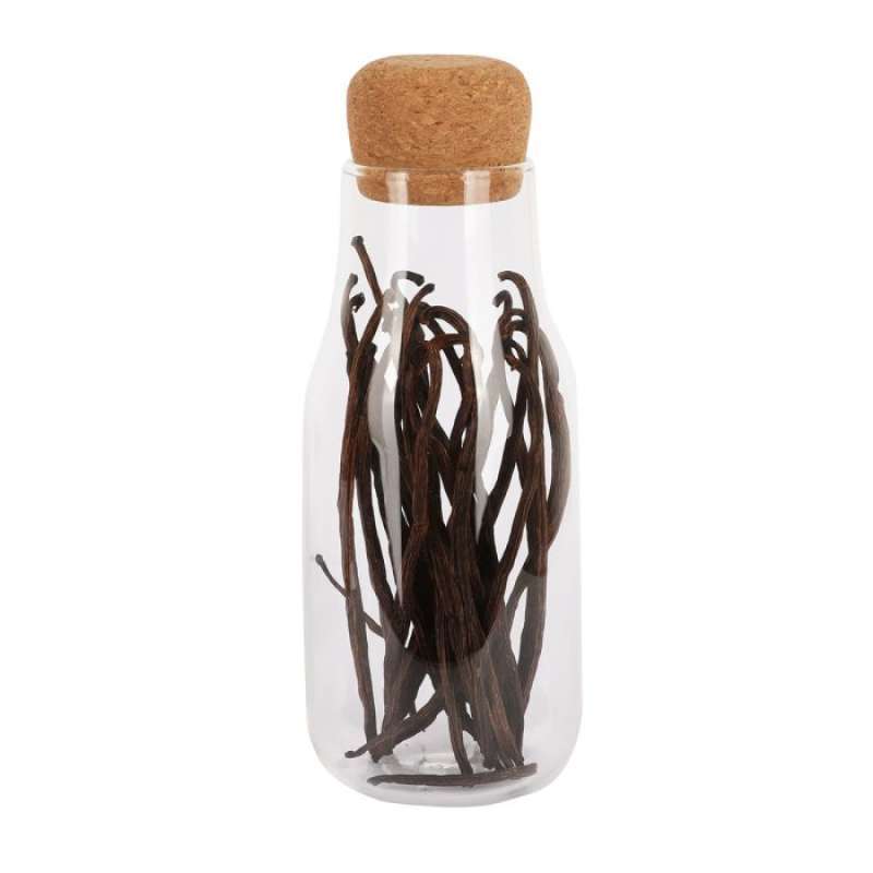 Jual Coffee Canister Tempat Simpan Biji Kopi 600ml Botol Kaca Tutup ...