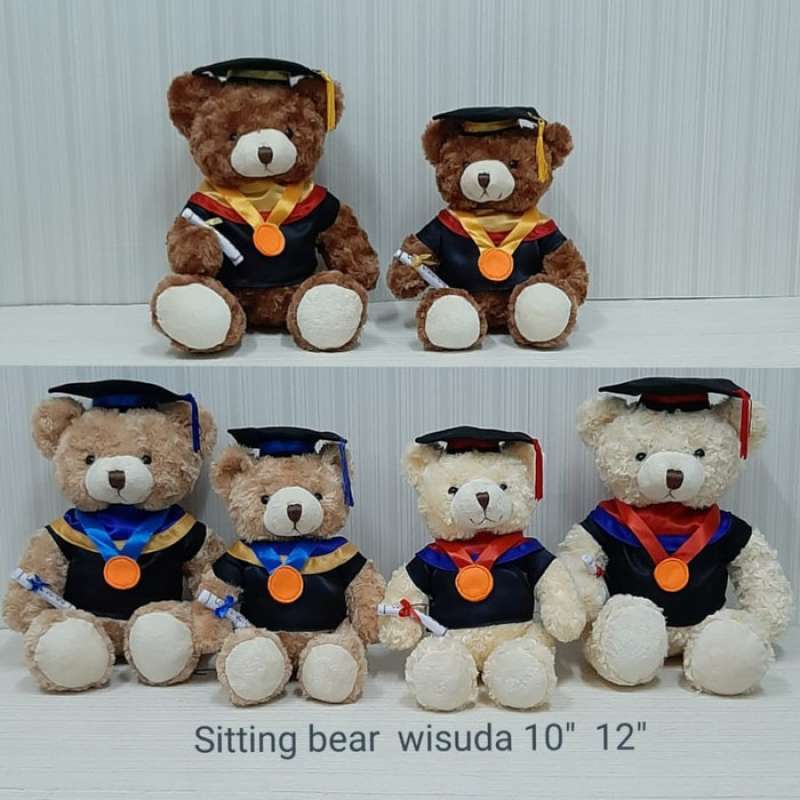 Jual Boneka Bear Wisuda Toga 25cm Kado Hadiah Graduation Di Seller ...