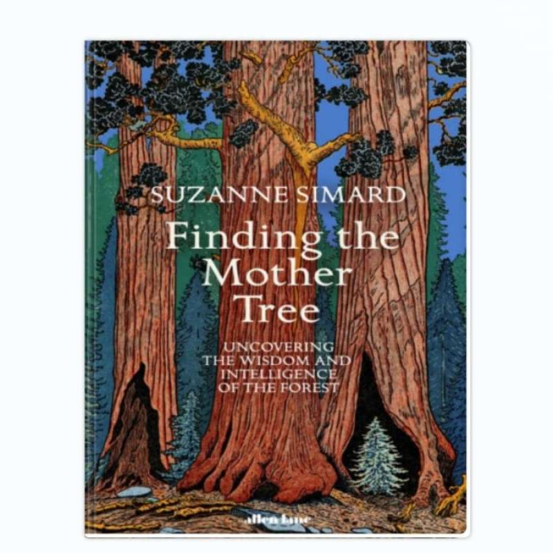 Promo Finding The Mother Tree: Uncovering The Wisdom And Intelligence ...