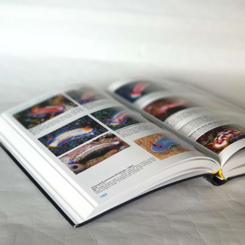Promo Buku Nudibranch & Sea Slug Identification Indo Pacific 2nd ...